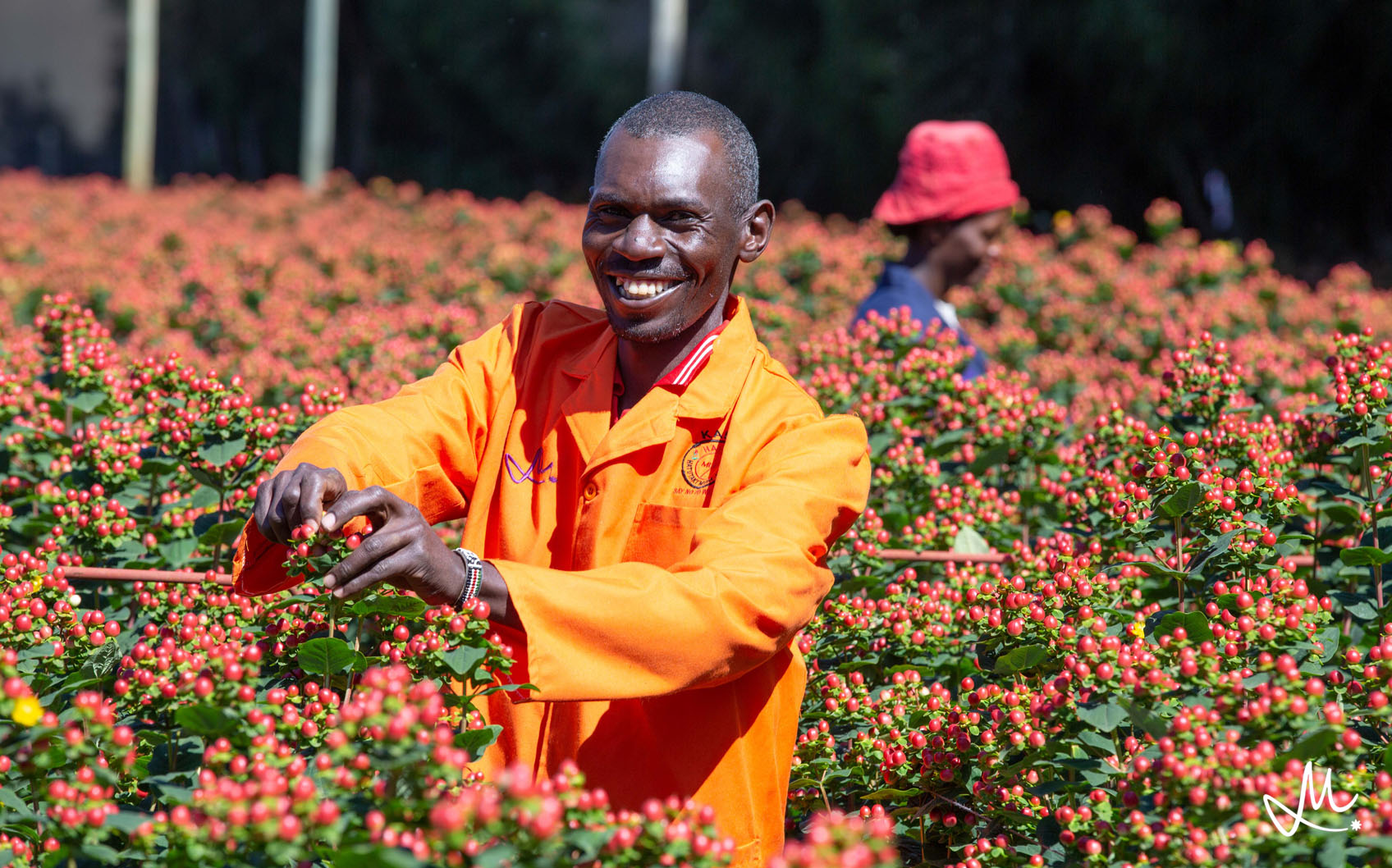 farm photography | Marginpar